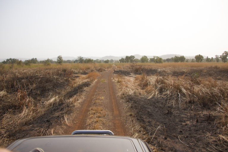 A Peaceful Safari in Pendjari National Park in Northern Benin