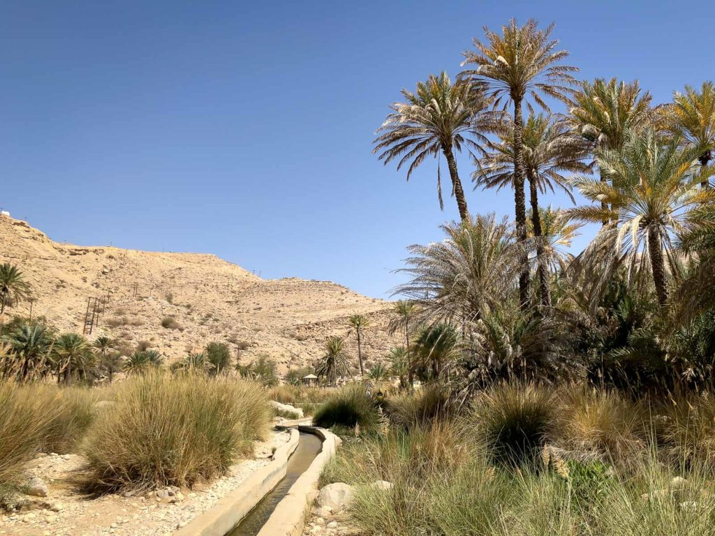 The 3 Best Wadis in Oman to Visit With Your Family