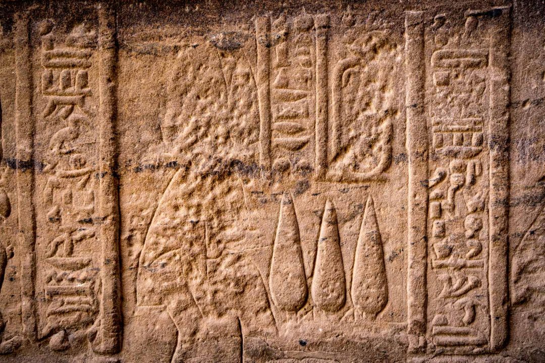 Why You Should Visit Aswan With Kids (And How To Do It!)
