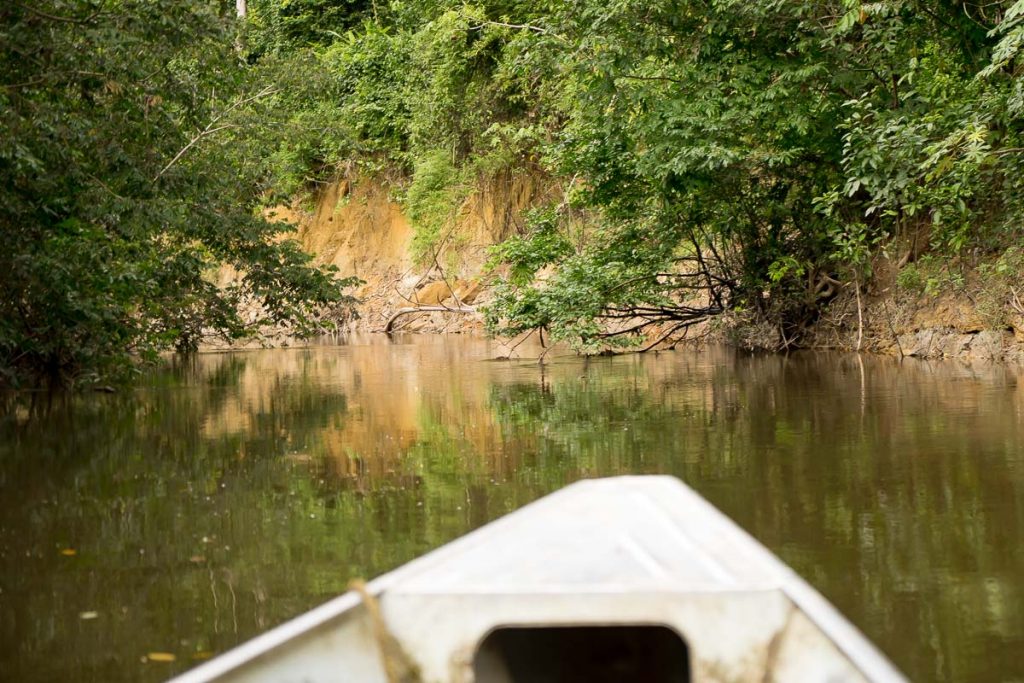 Surama Eco Lodge - A Community Based Tourism Initiative in Guyana