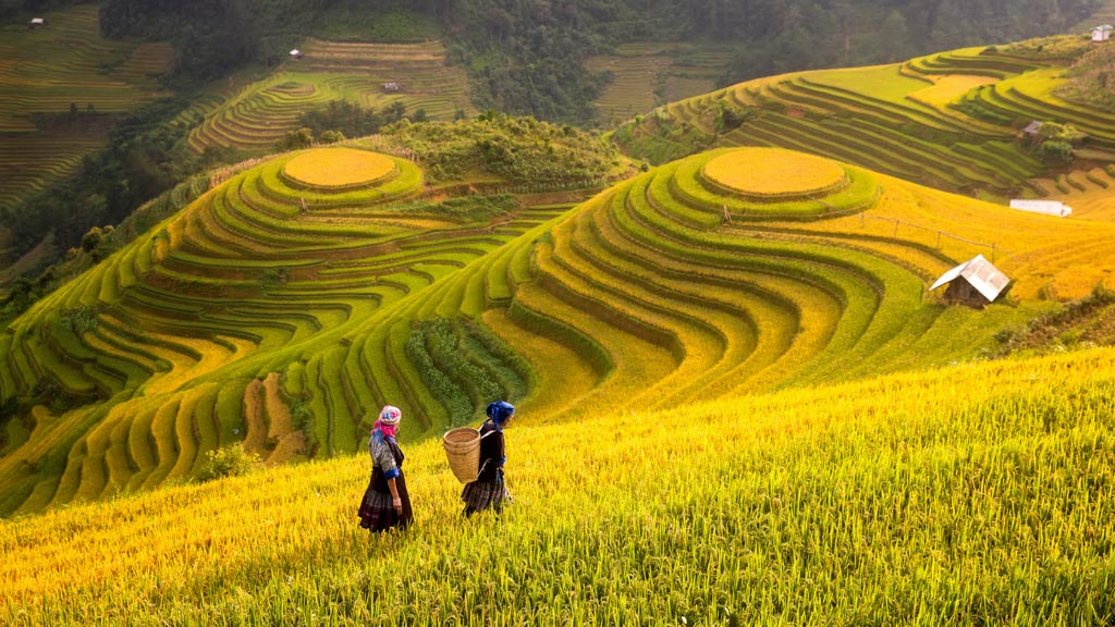 How To Spend 2 Weeks In Vietnam A Two Week Vietnam Itinerary 