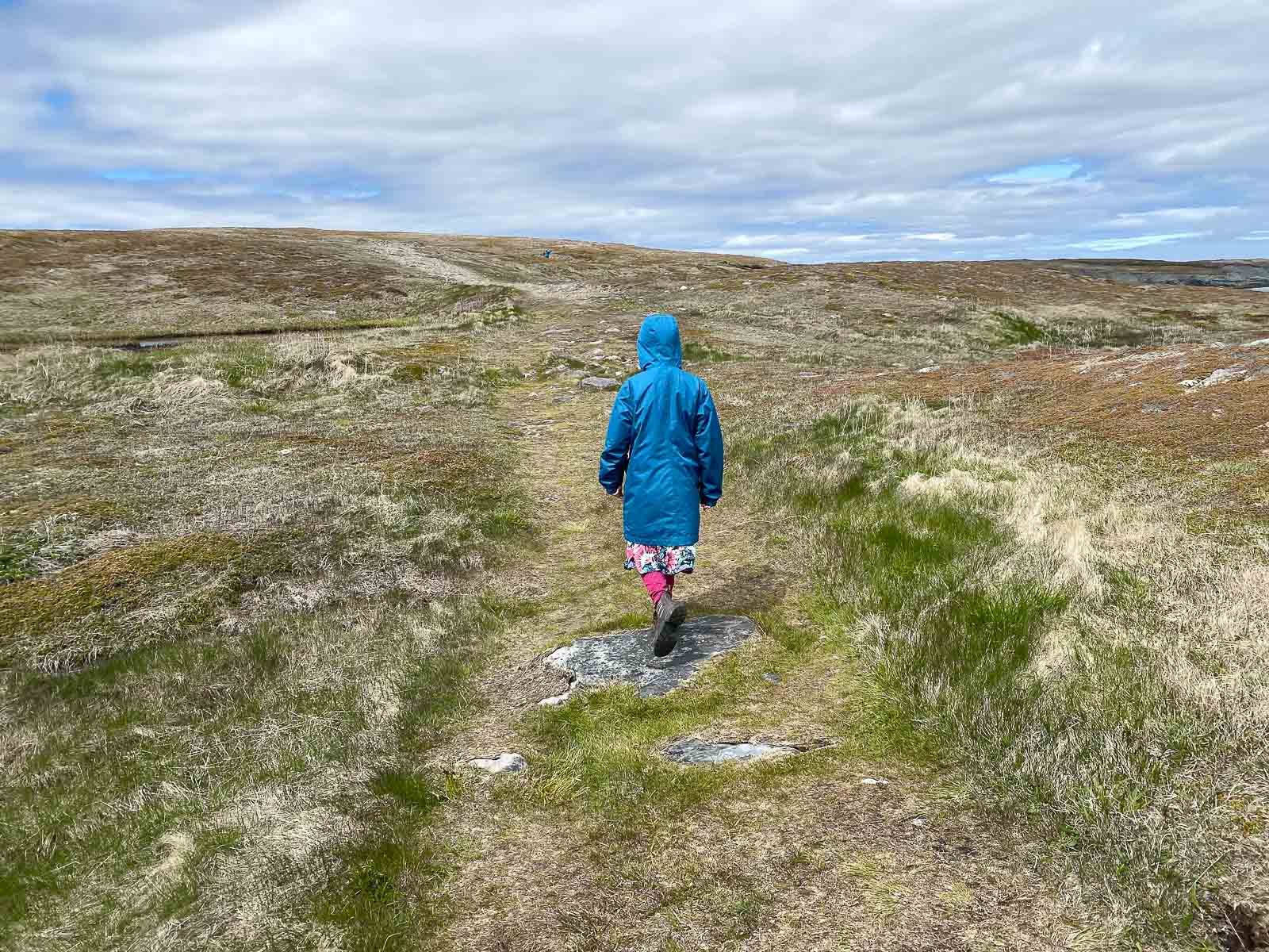 An Epic Newfoundland Road Trip - Where IS The World