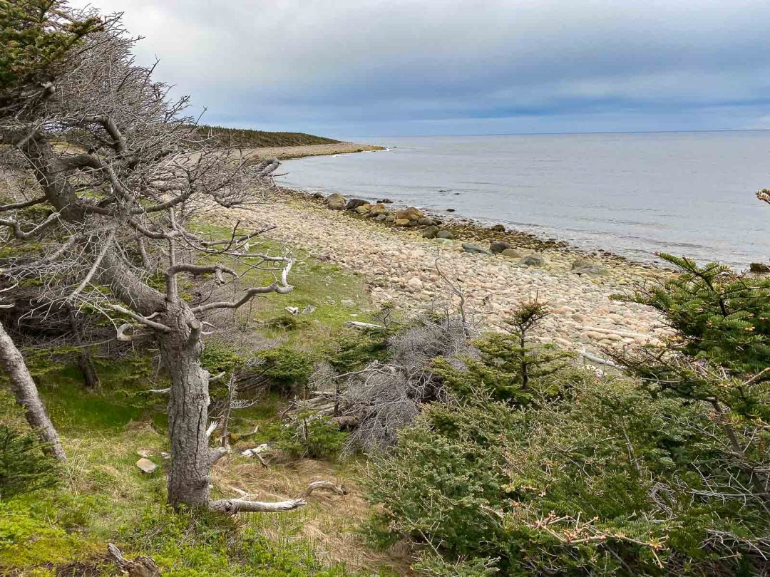 An Epic Newfoundland Road Trip - Where IS The World